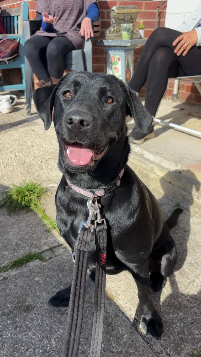 Local Classifieds | Preloved