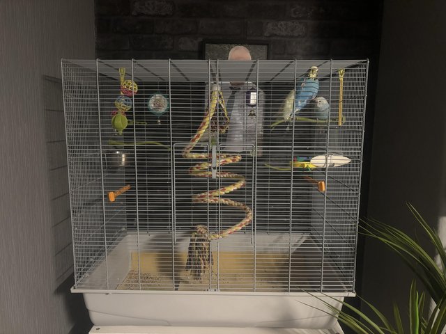 Local Classifieds | Preloved