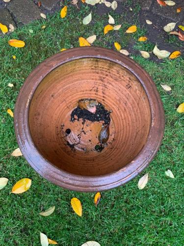 Largexweighty terracotta plant pot (with embossed design) For Sale in ...