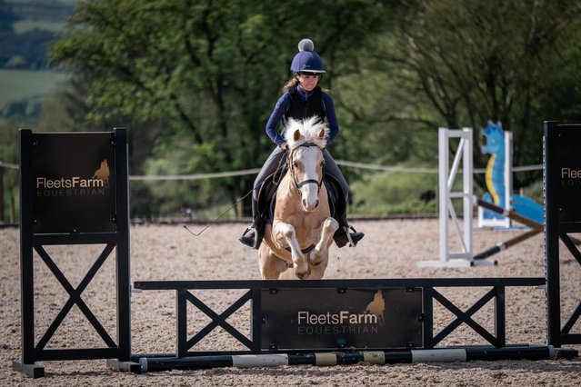 Fantastic Fun all rounder Welsh Section C Pony For Sale in Windermere ...