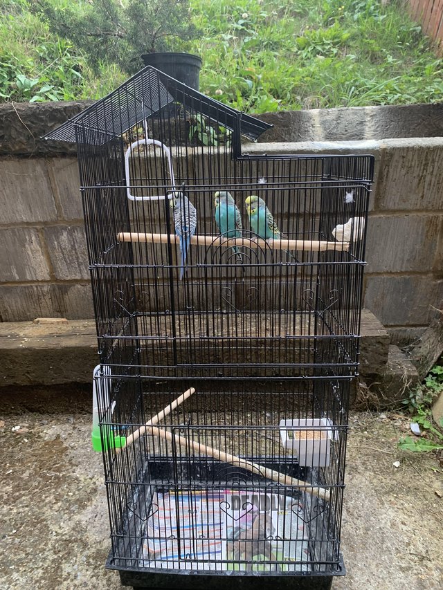 Local Classifieds | Preloved