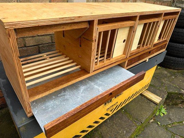 Racing Hen / Pigeons Perches / For Sale in Harrow, London | Preloved