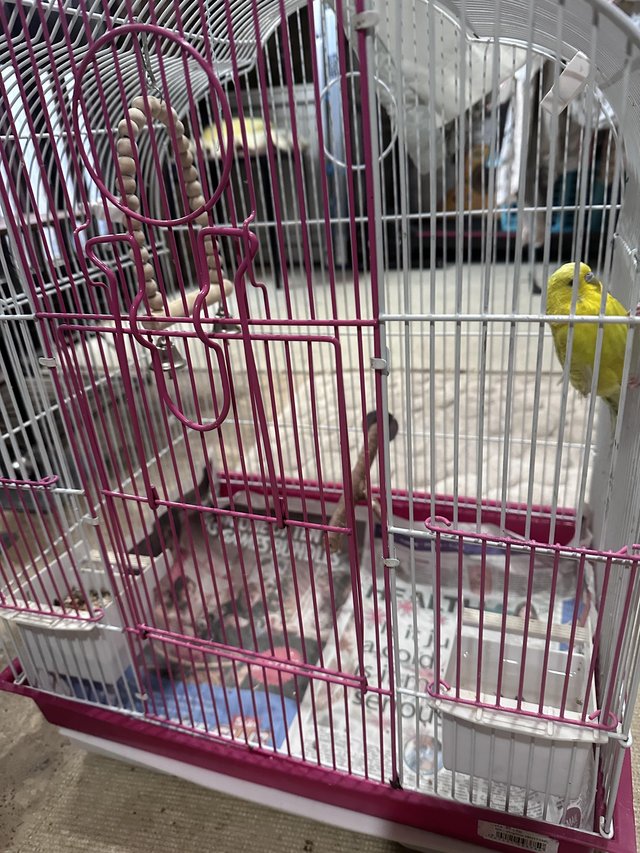 Local Classifieds | Preloved