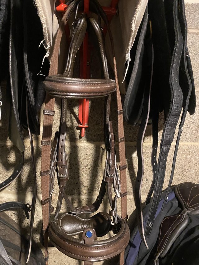 Second Hand Horse Tack and Clothing Buy and Sell with zero fees Preloved