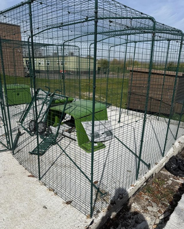 Local Classifieds | Preloved