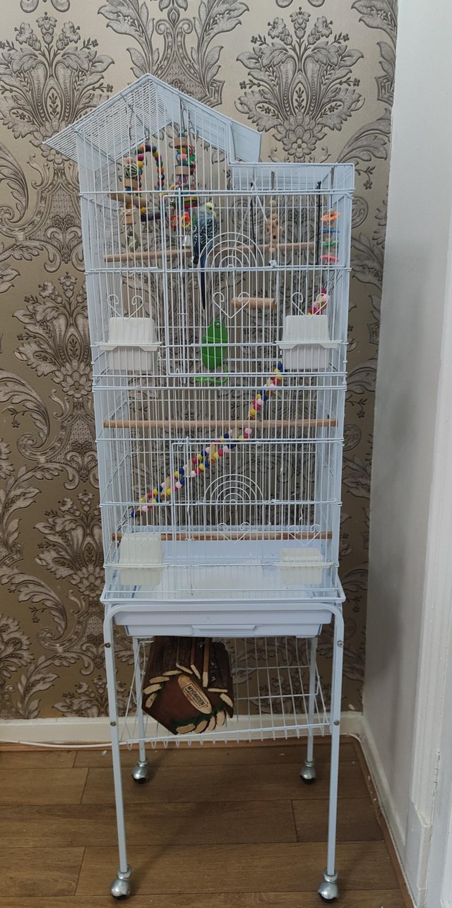 Local Classifieds | Preloved