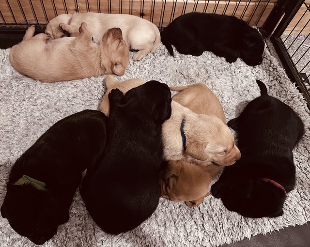 Local Classifieds | Preloved