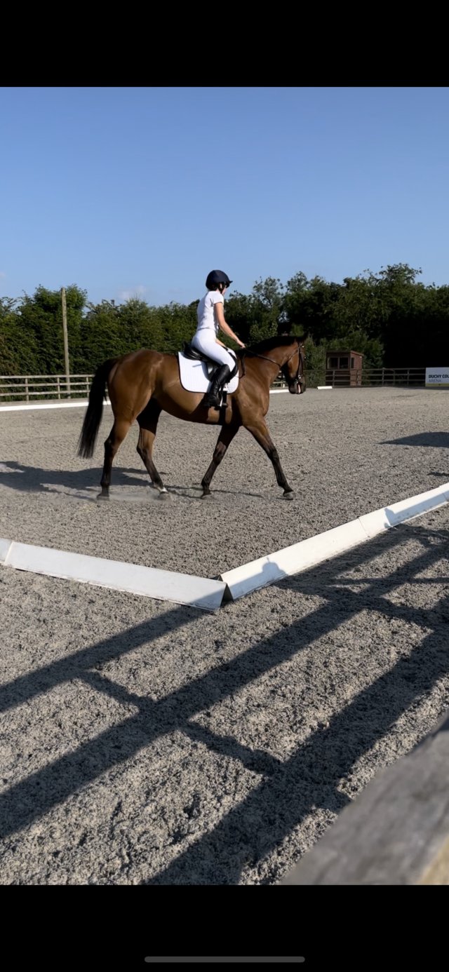 Loading advert... | Preloved