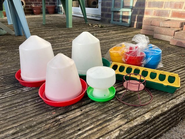 Poultry Feeders water / food and treat holders For Sale in Cheshire ...
