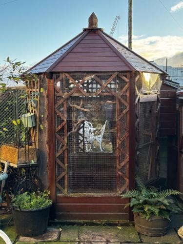 Hexagonal Victorian aviary For Sale in Portsmouth, Hampshire | Preloved