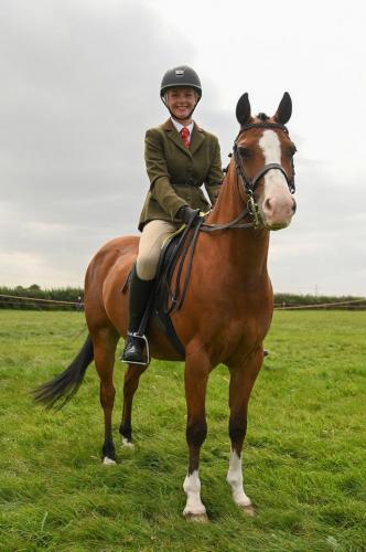 Stunning Welsh x Gelding 13.2hh For Sale in Louth, Lincolnshire | Preloved