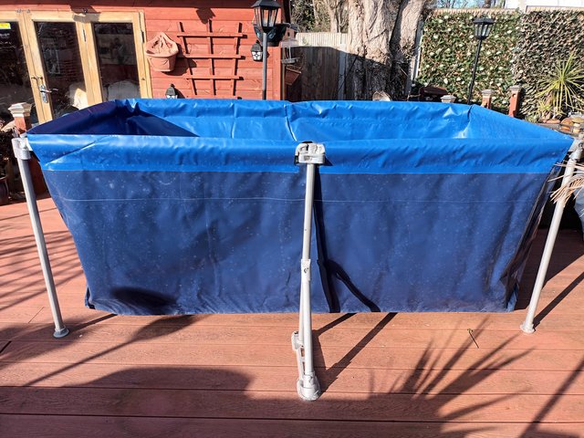 Koi Or Fish Vat or any other fish For Sale in Whitstable, Kent | Preloved