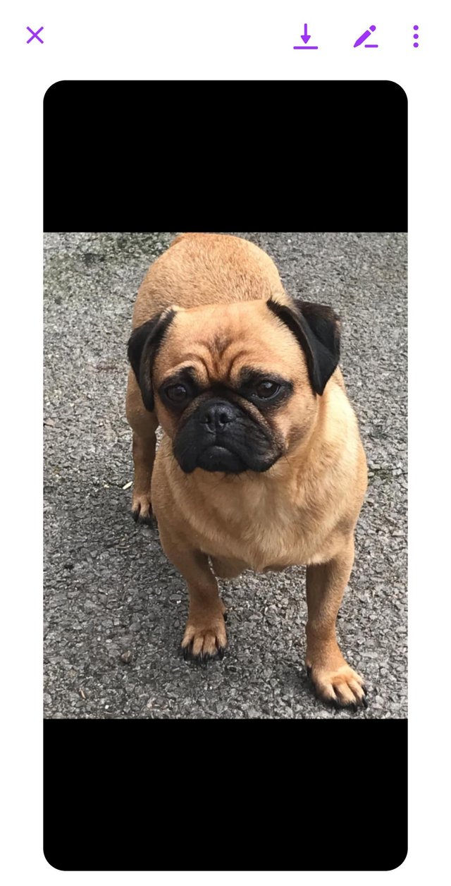 Local Classifieds | Preloved