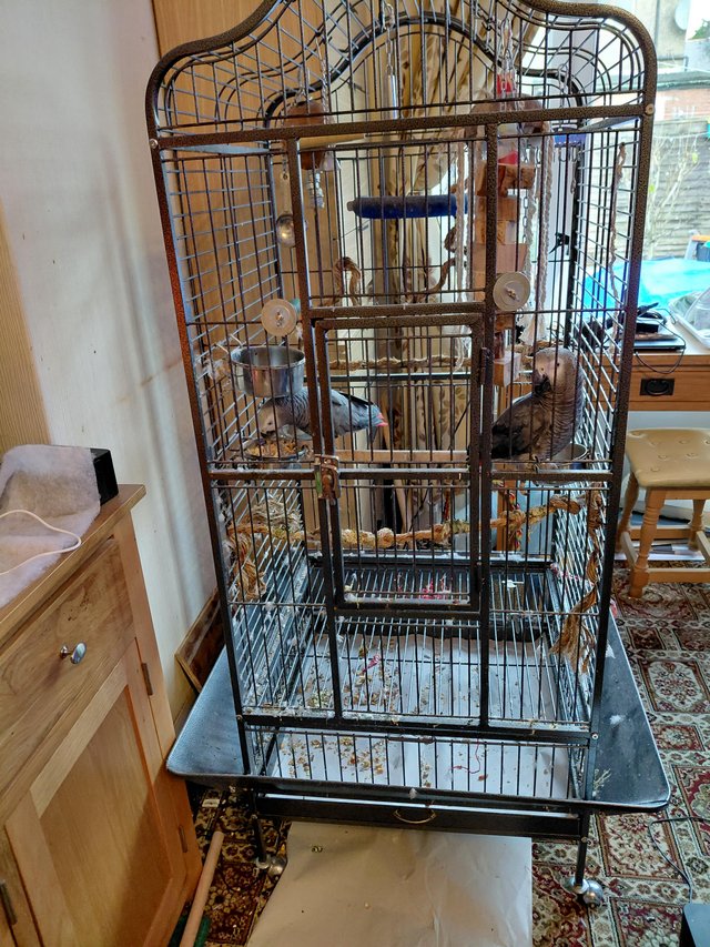 Local Classifieds | Preloved