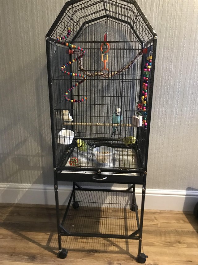 Local Classifieds | Preloved